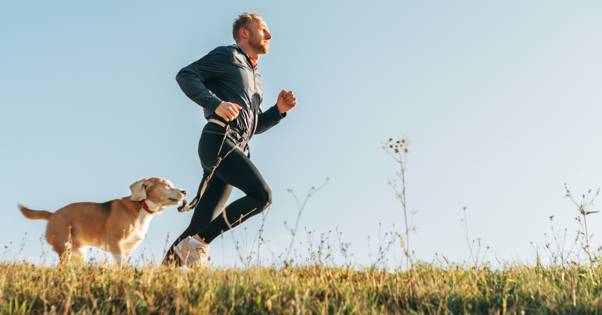 The Top Benefits of Exercise for Pets and Humans
